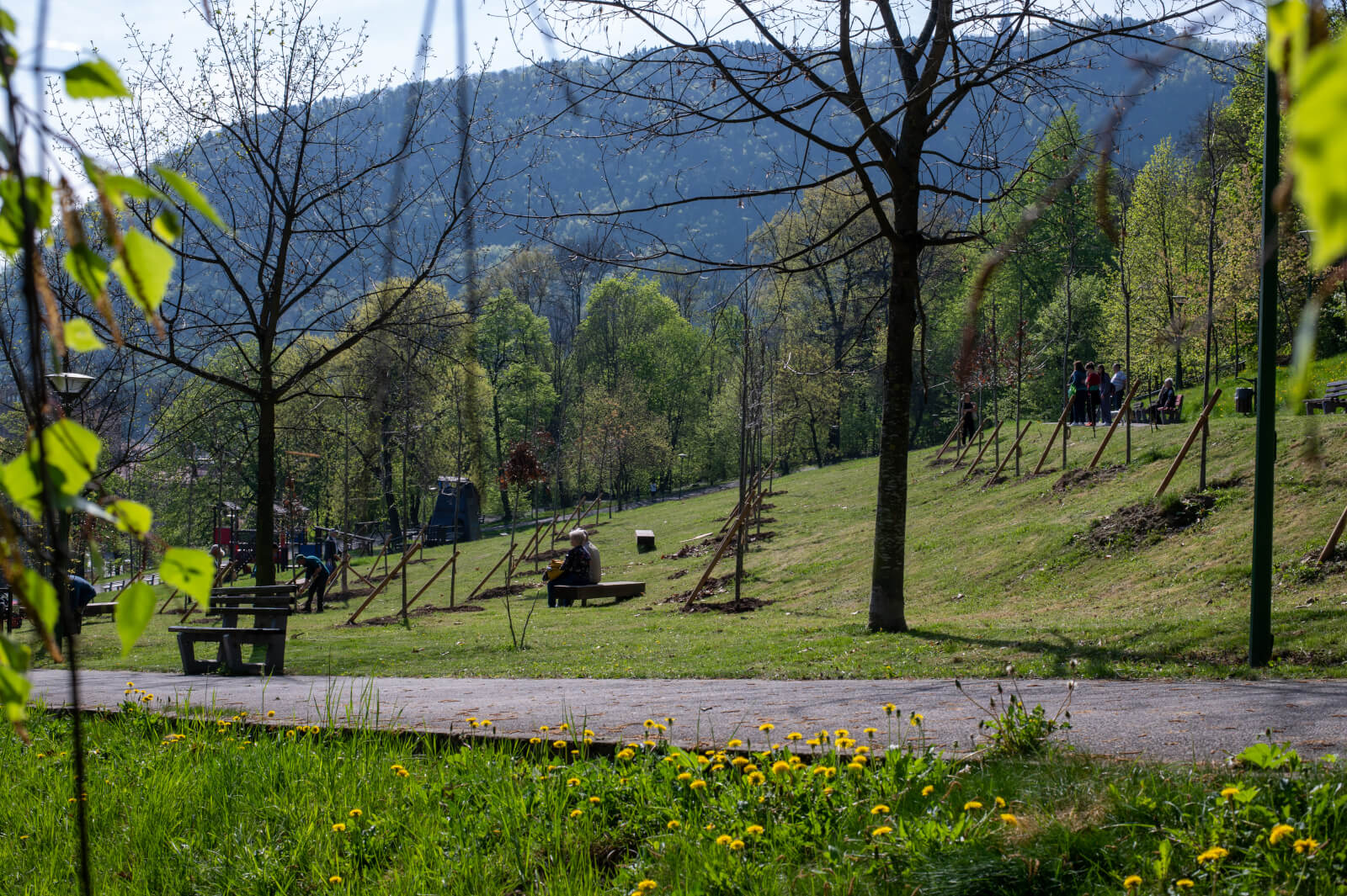 iB Cargo contributes to a better quality of life - iB Cargo